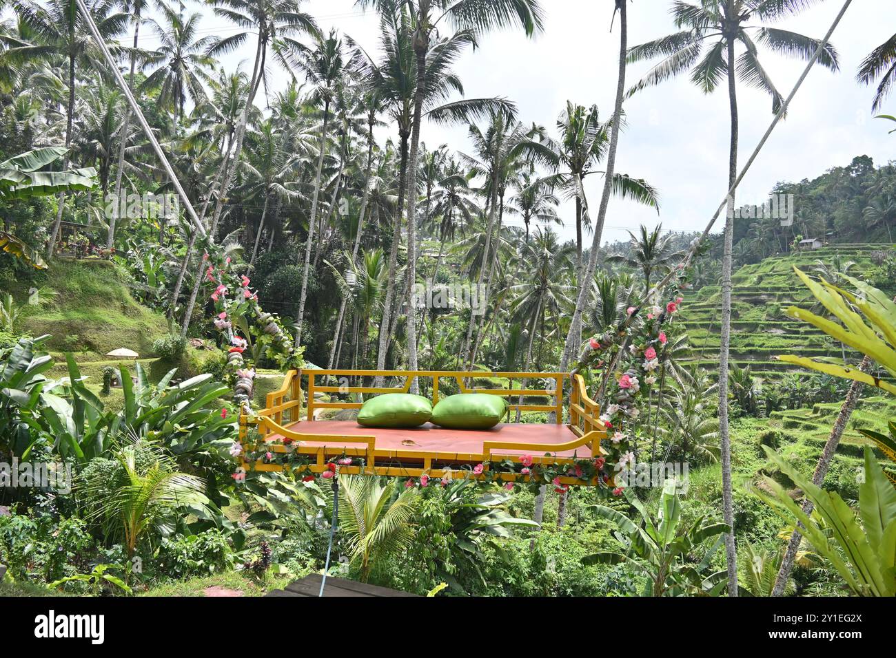 View of a swing overlooking Tegalalang rice terrace in Ubud, Bali ...