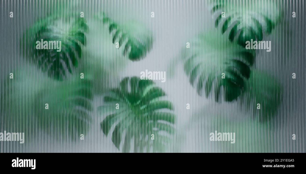 Plant behind frosted glass hi-res stock photography and images - Alamy