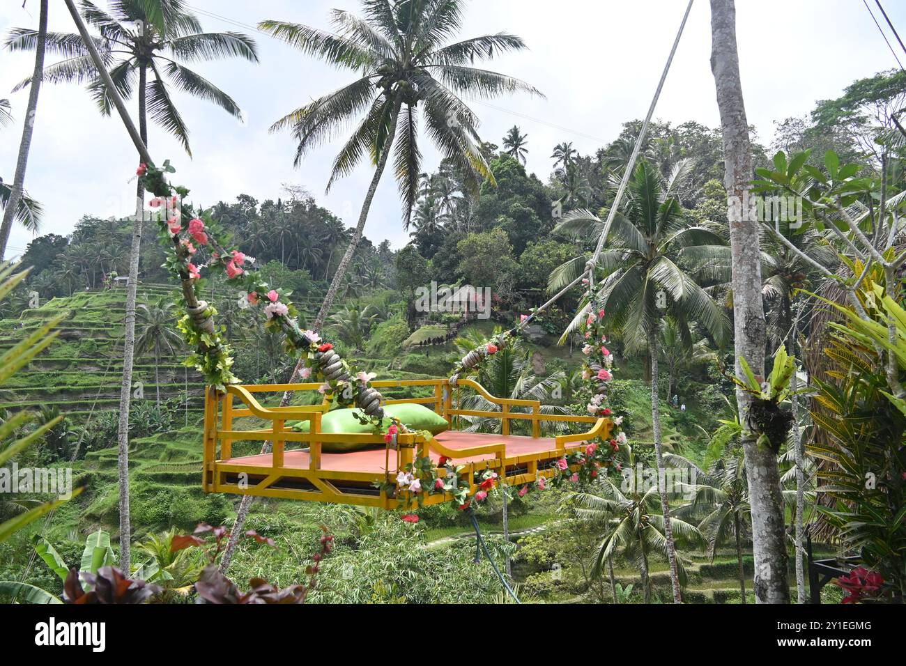 View of a swing overlooking Tegalalang rice terrace in Ubud, Bali ...