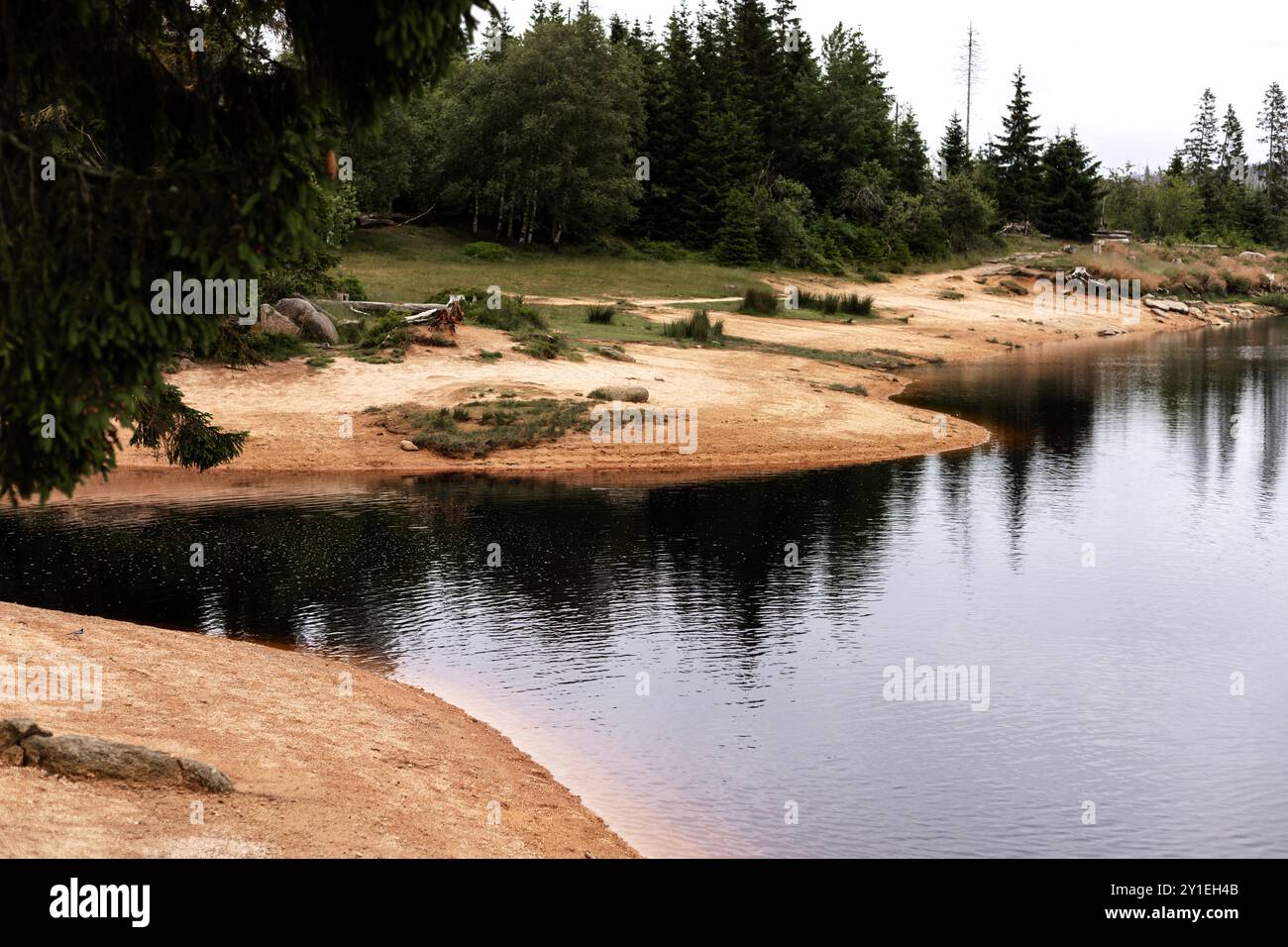Sandy shore of the lake. A lake in a nature reserve. Beautiful nature ...