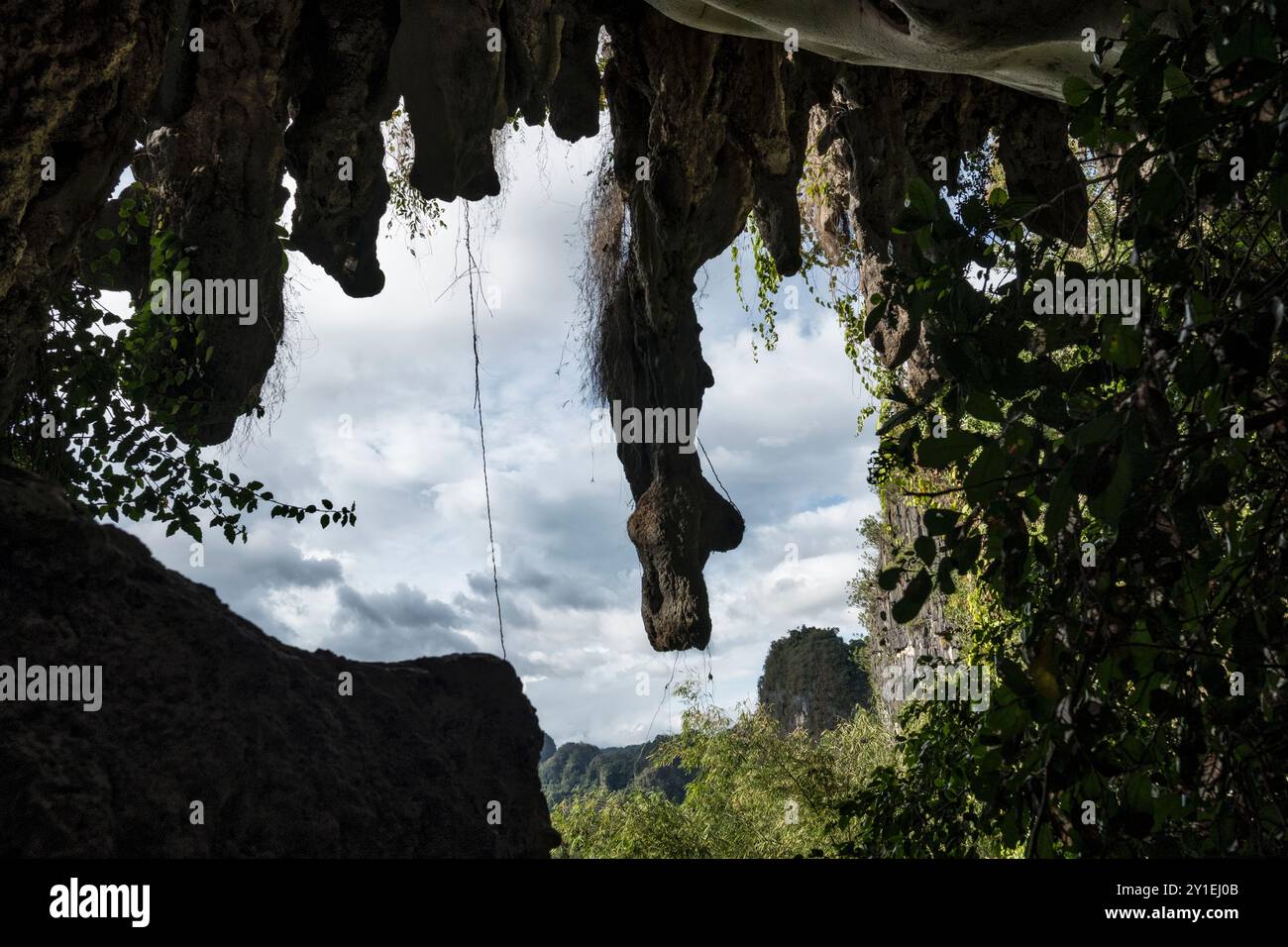 Leang Leang geopark in Maros, Sulawesi, Indonesia, Asia Stock Photo - Alamy