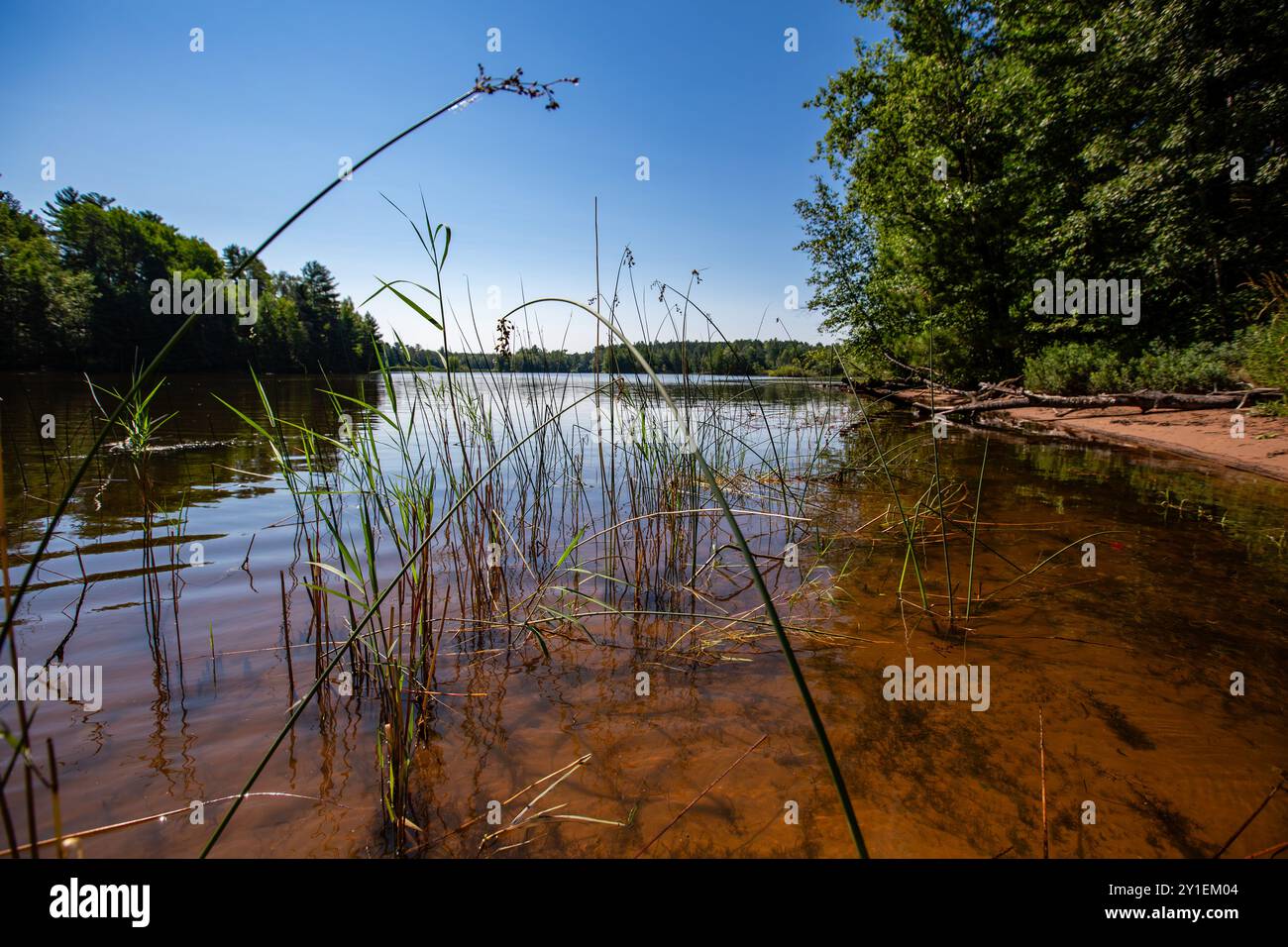 Lake Nokomis in Tomahawk, Wisconsin in the summer, horizontal Stock ...