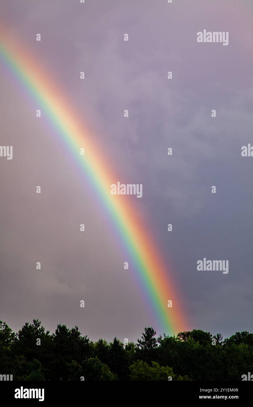 Rainbow with a dark sky and trees, vertical Stock Photo - Alamy