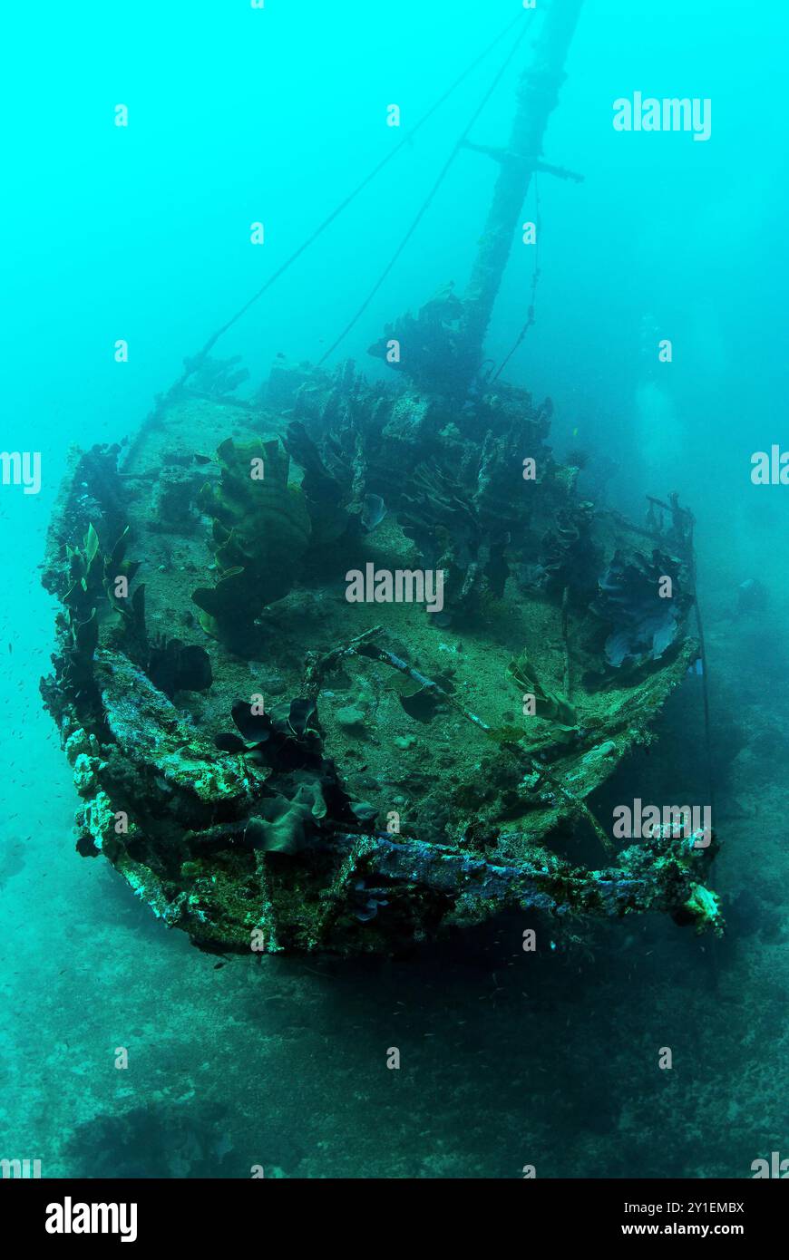 Wreck of the Ann, Russell Islands Stock Photo - Alamy