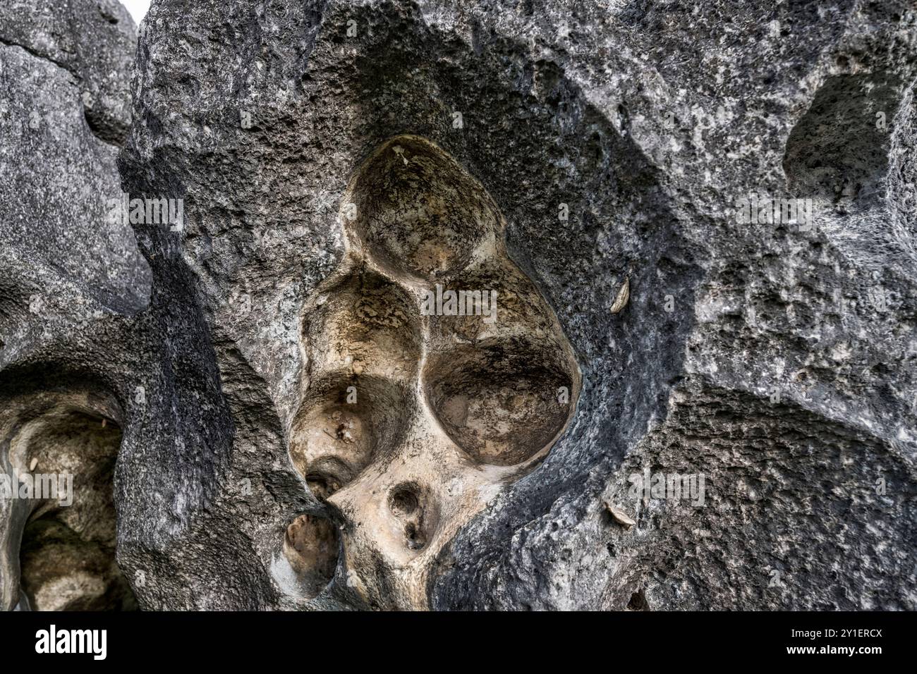 Maros indonesia cave hi-res stock photography and images - Alamy