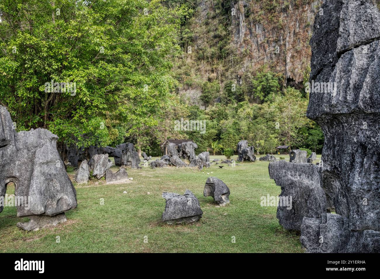 Leang Leang geopark in Maros, Sulawesi, Indonesia, Asia Stock Photo - Alamy