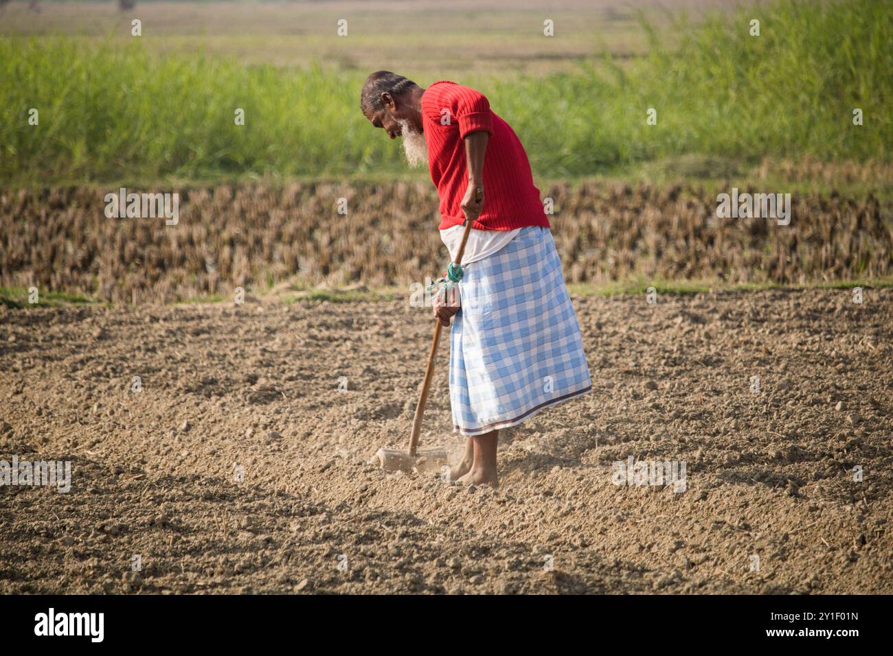 Male and female farmer working on an agricultural fields in spring ...