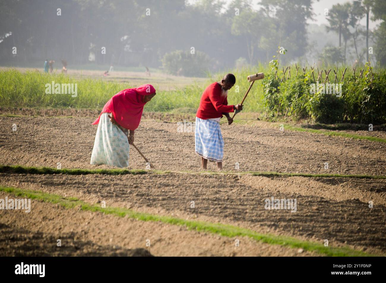 Male and female farmer working on an agricultural fields in spring ...