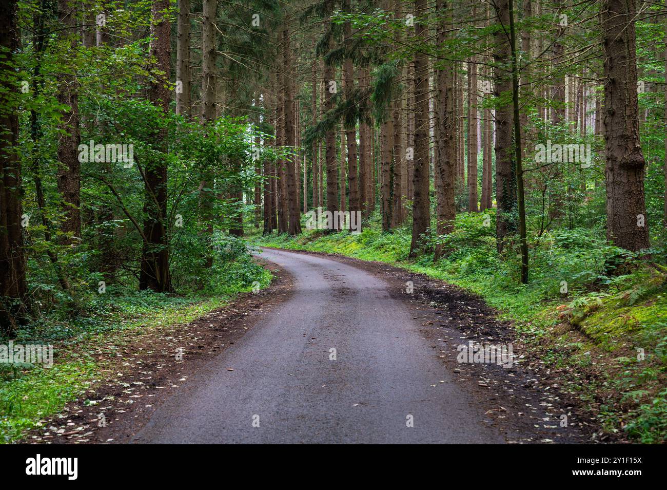 Belgisch deutsche grenze hi-res stock photography and images - Alamy