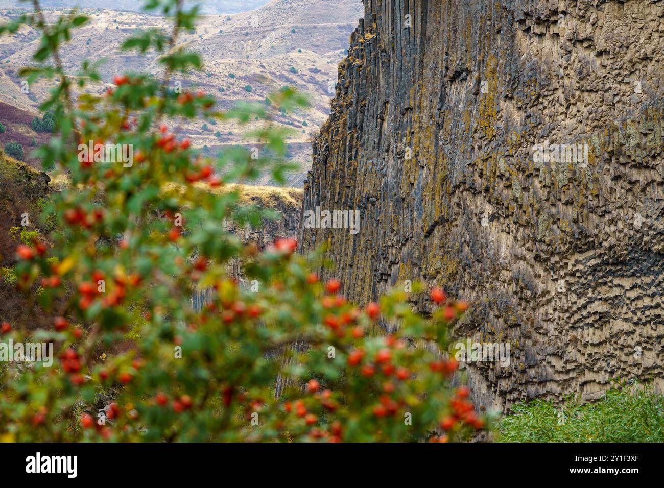 striking view of a vertical basalt cliff formation in Armenia ...