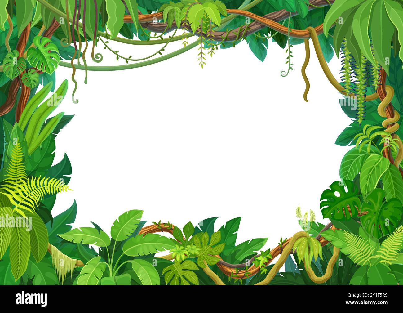 Tropical liana frame of jungle forest ivy branches or creeper plant ...