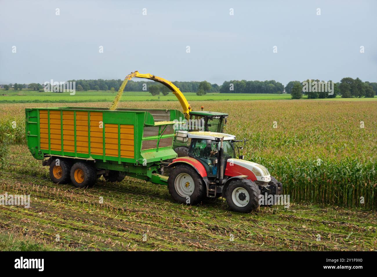 Corn crop farming hi-res stock photography and images - Alamy