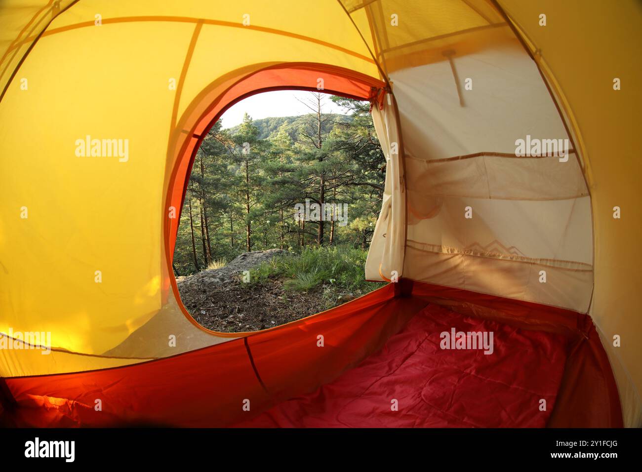 Modern camping tent in wilderness at summer, view on forest through ...