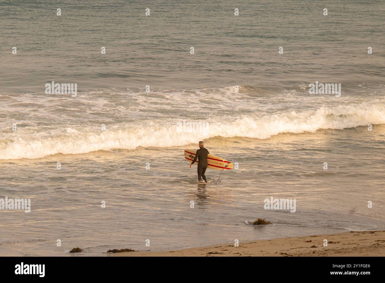 High levels of bacteria hi-res stock photography and images - Alamy