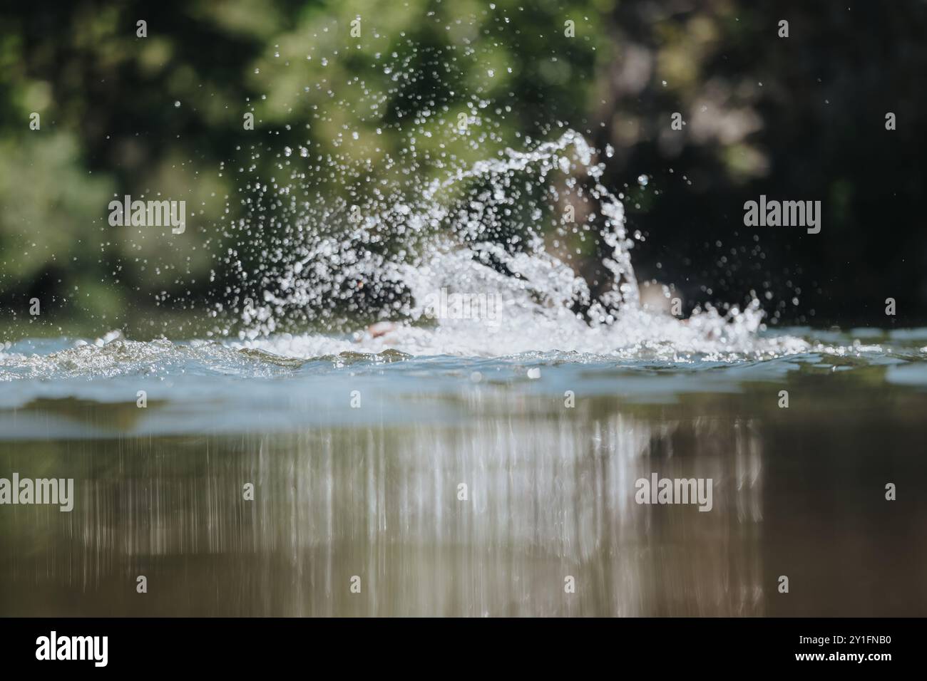 Splashing water creating beautiful patterns in a natural setting Stock ...