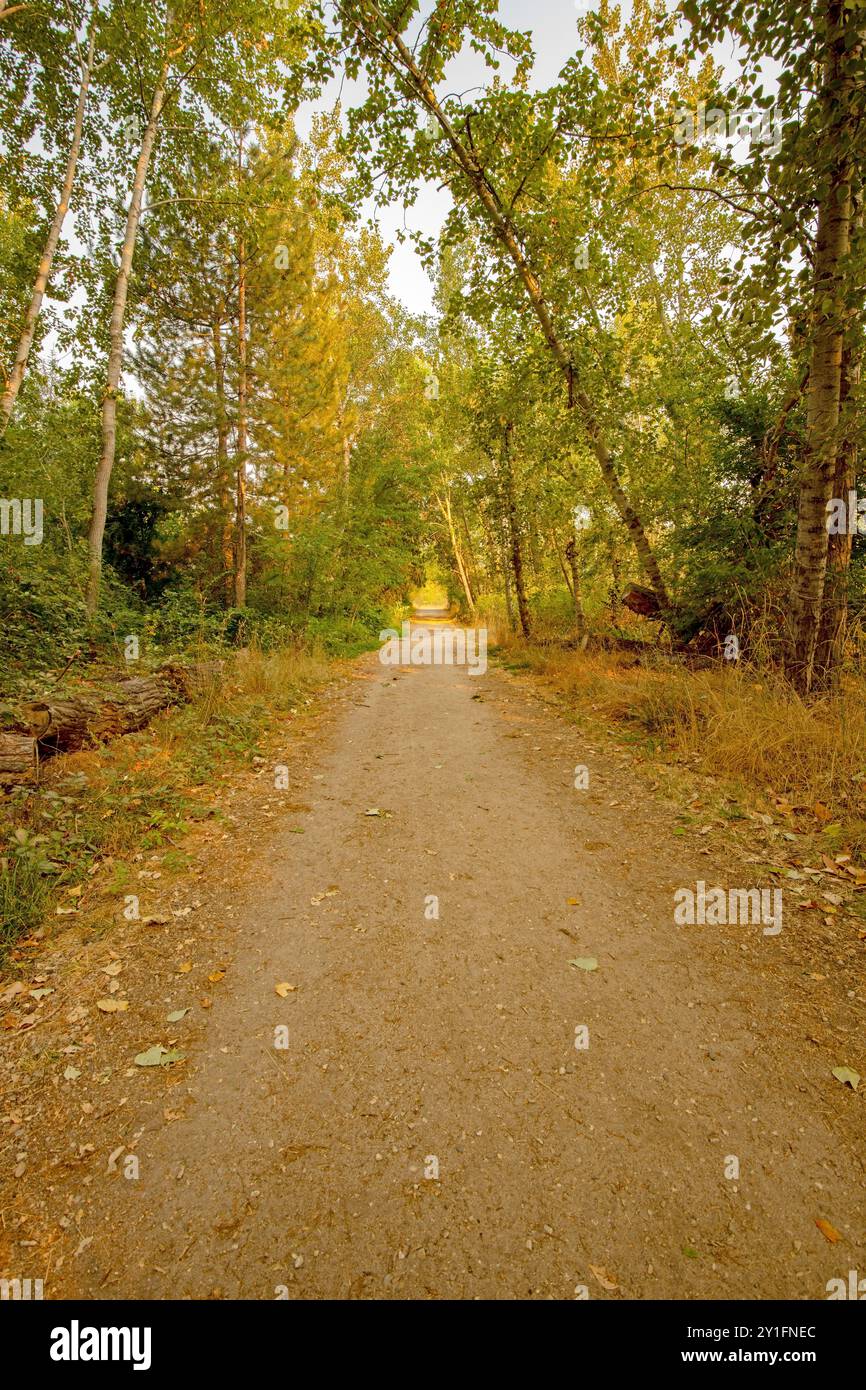 Hiking trail view Stock Photo - Alamy