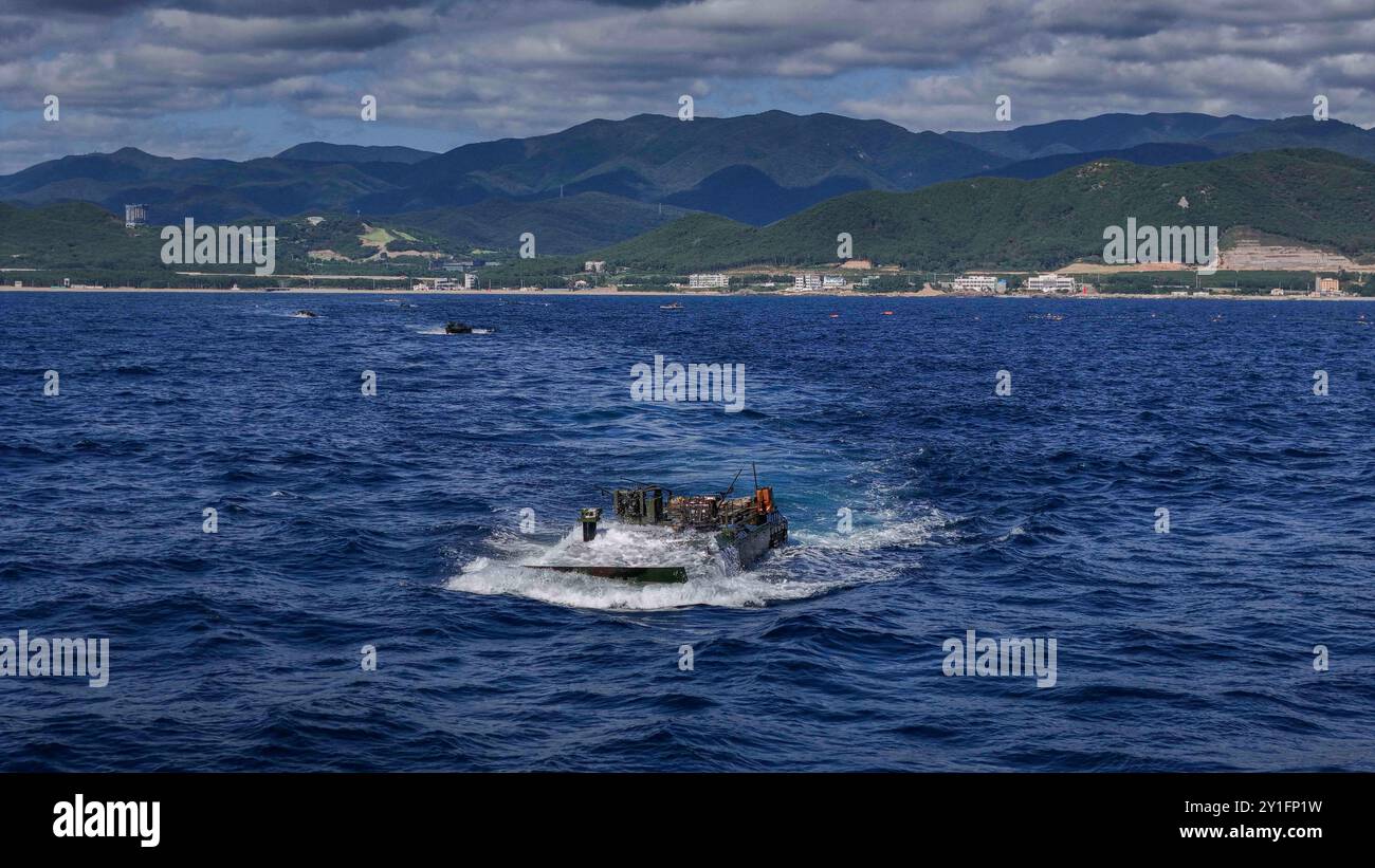 [240904-N-HV010-1007] Amphibious Combat Vehicles, attached to Battalion ...