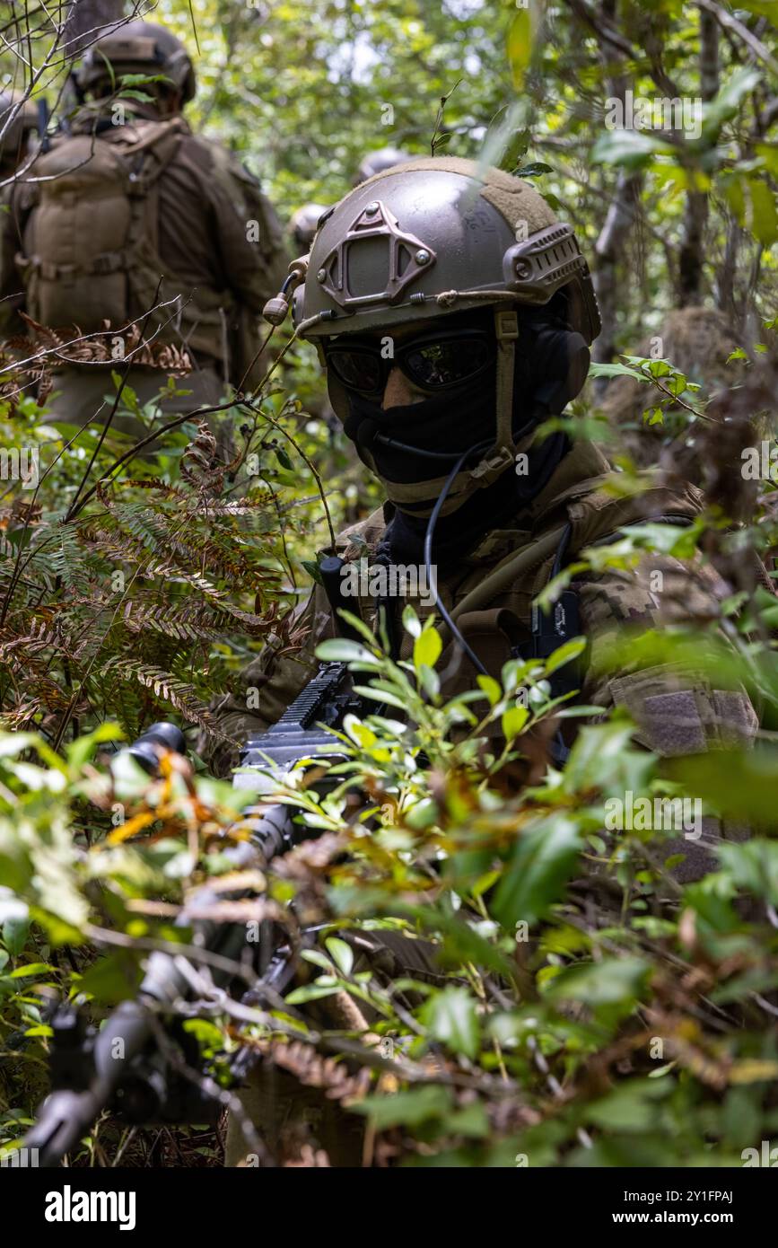 A soldier with the United Arab Emirates Al Forsan Brigade, Presidential ...
