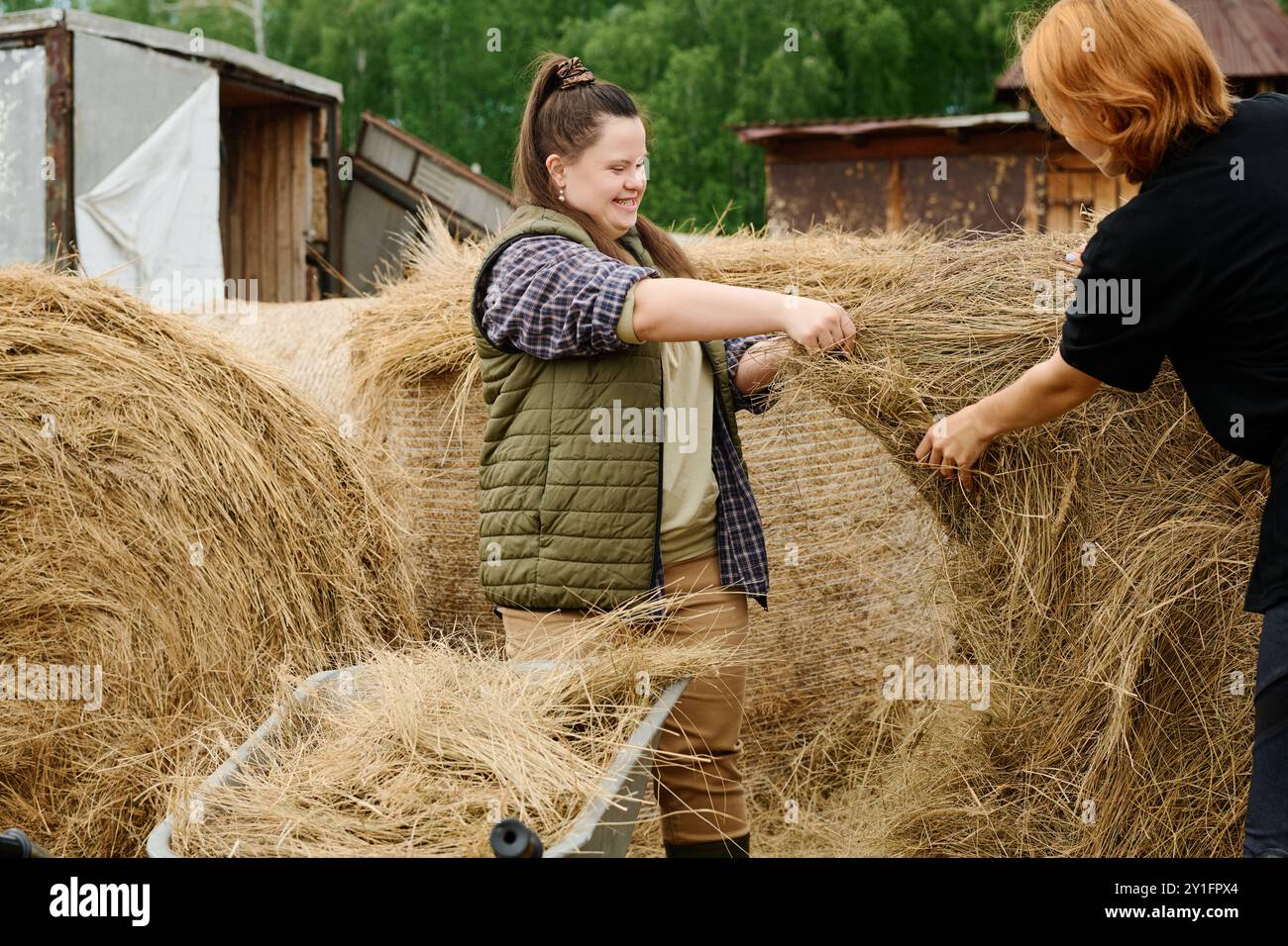 Barnwork hi-res stock photography and images - Alamy