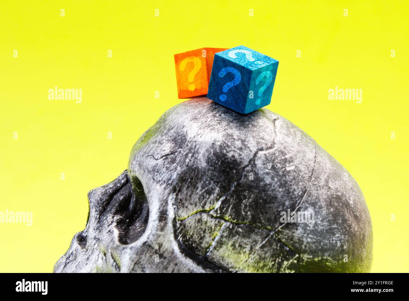 Skull next to colorful cubes with question marks that represent its ...