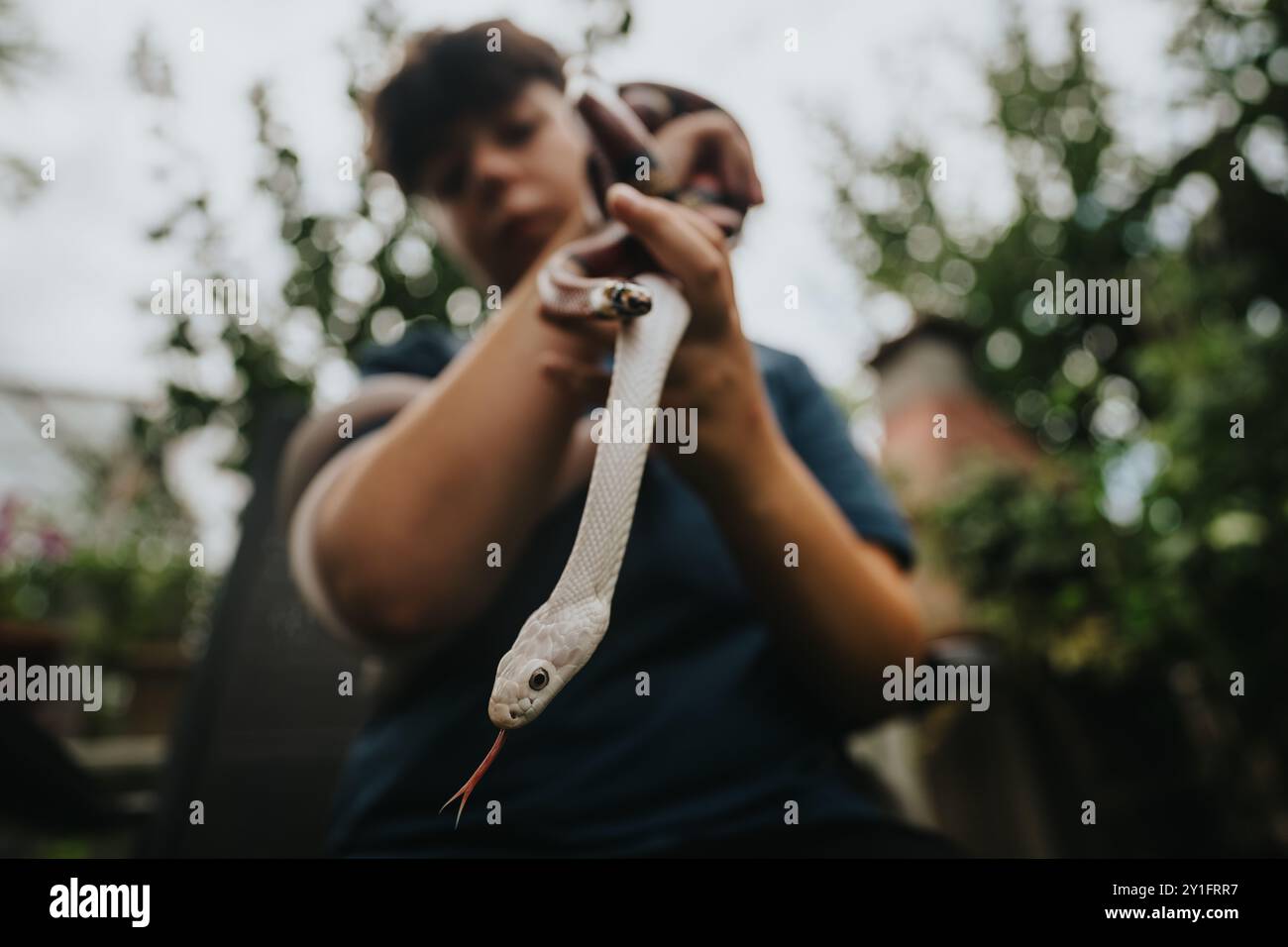 Young girl playing with a snake in a garden setting Stock Photo - Alamy