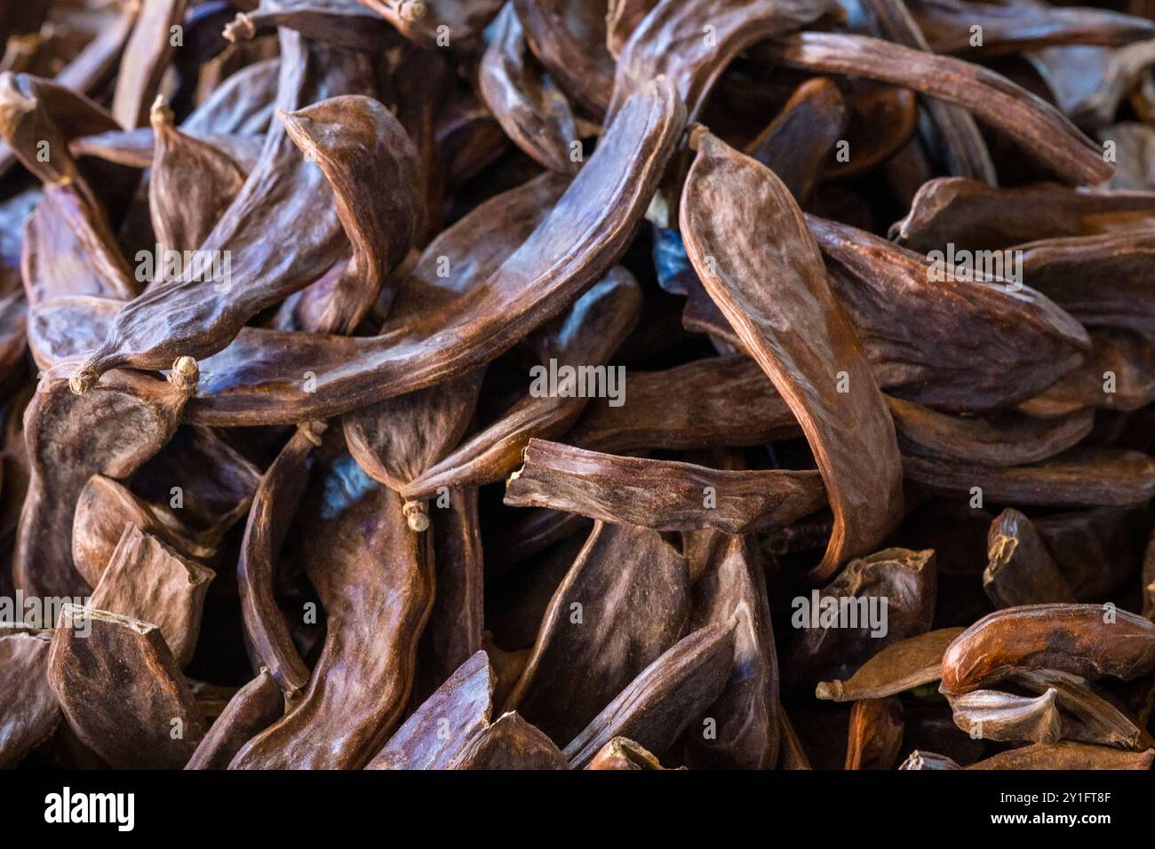 Dried carob pods. Pile of carob tree fruit pods at market stall. Top ...