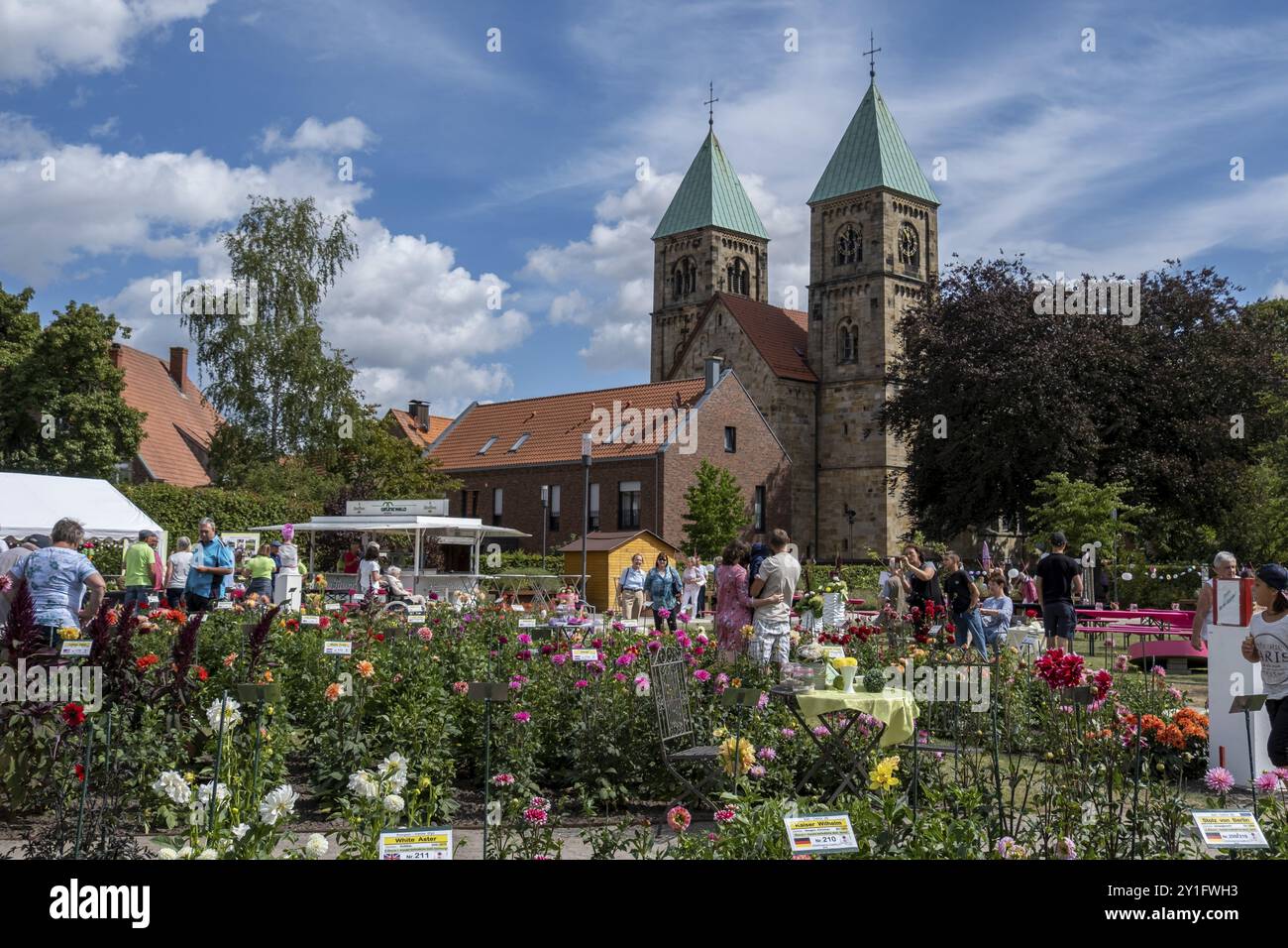 Festival in the Dahlia Garden, Legden, Muensterland, North Rhine ...
