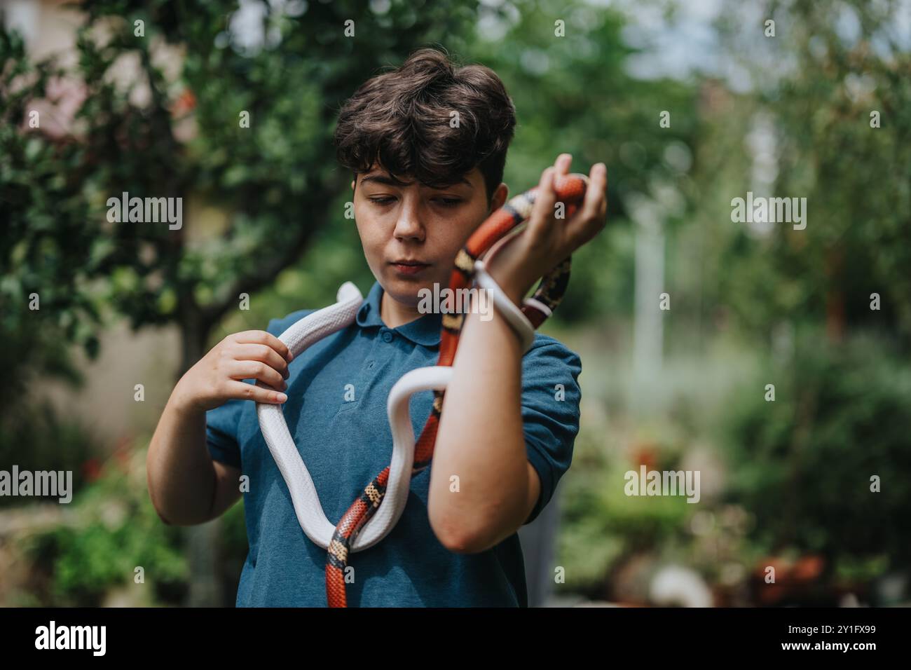 Young person confidently handling a colorful snake outdoors Stock Photo ...