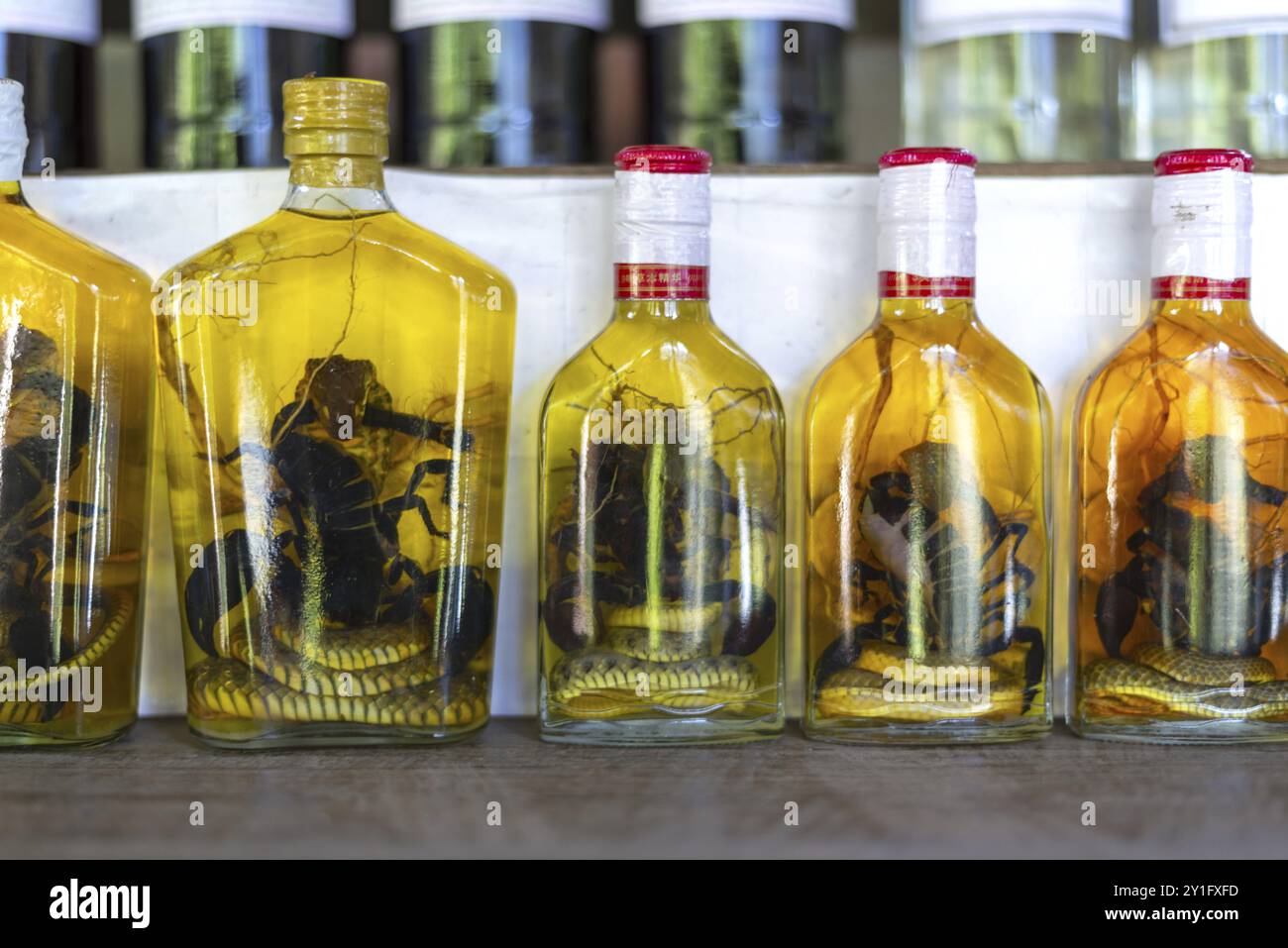 Choum, rice liquor, rice wine with pickled scorpions and snakes for ...