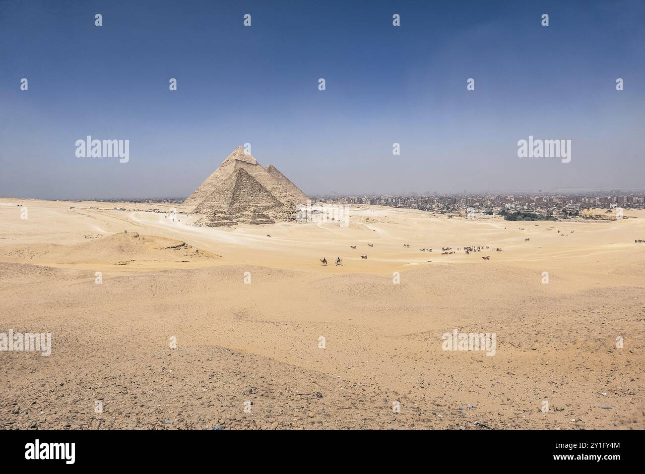 Experience Egypt's summer allure through captivating images of the ...