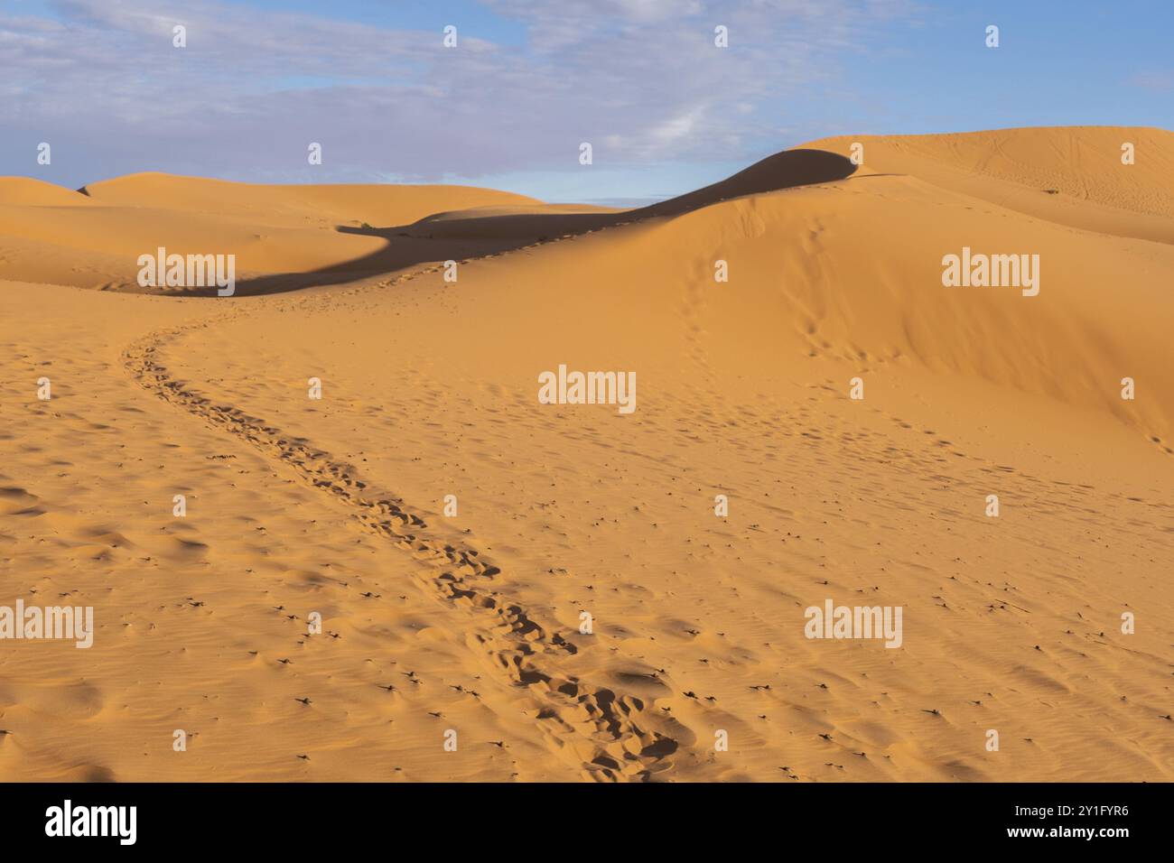 Morocco. . Beautiful sand dunes in the Sahara desert Stock Photo - Alamy