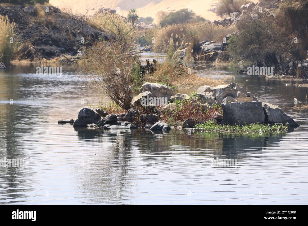 Wildlife photography egypt hi-res stock photography and images - Alamy