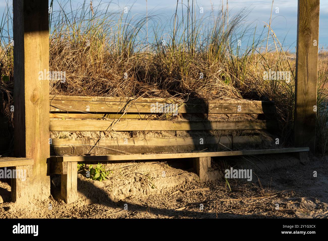 A weathered wooden bench set against coastal dunes with dry grasses ...