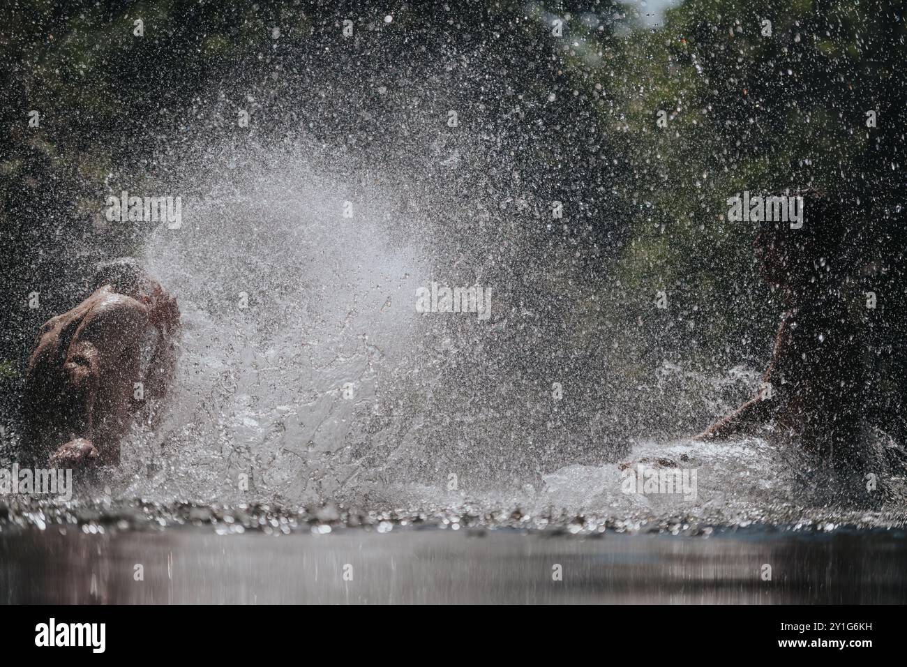 Serene aquatic scene hi-res stock photography and images - Alamy