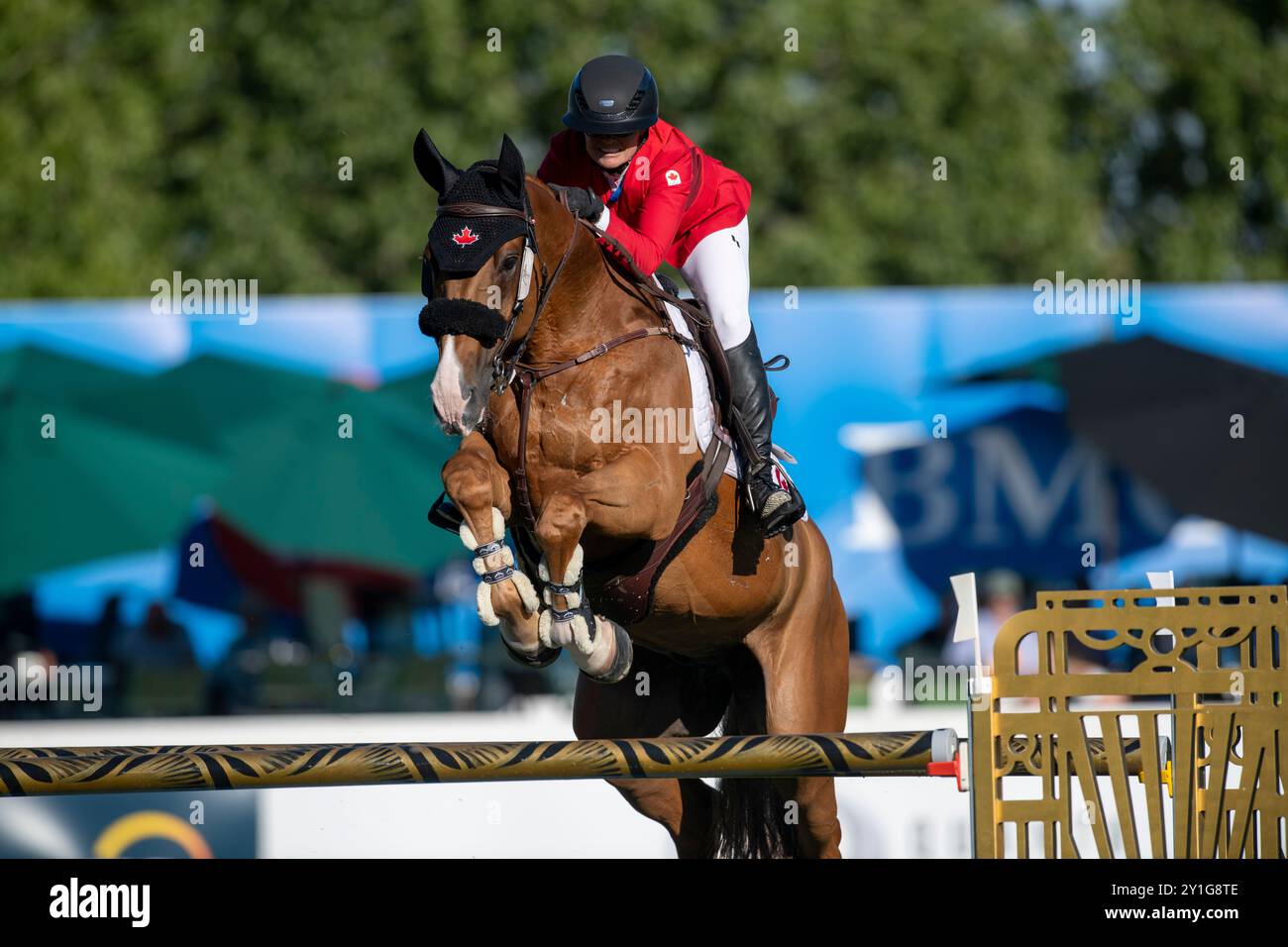 Peter ballard hi-res stock photography and images - Alamy