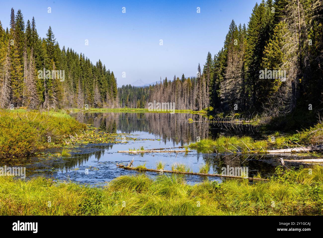 Clearwater, Canada. 05 September, 2024 Pictured: Shadow Lake on the ...