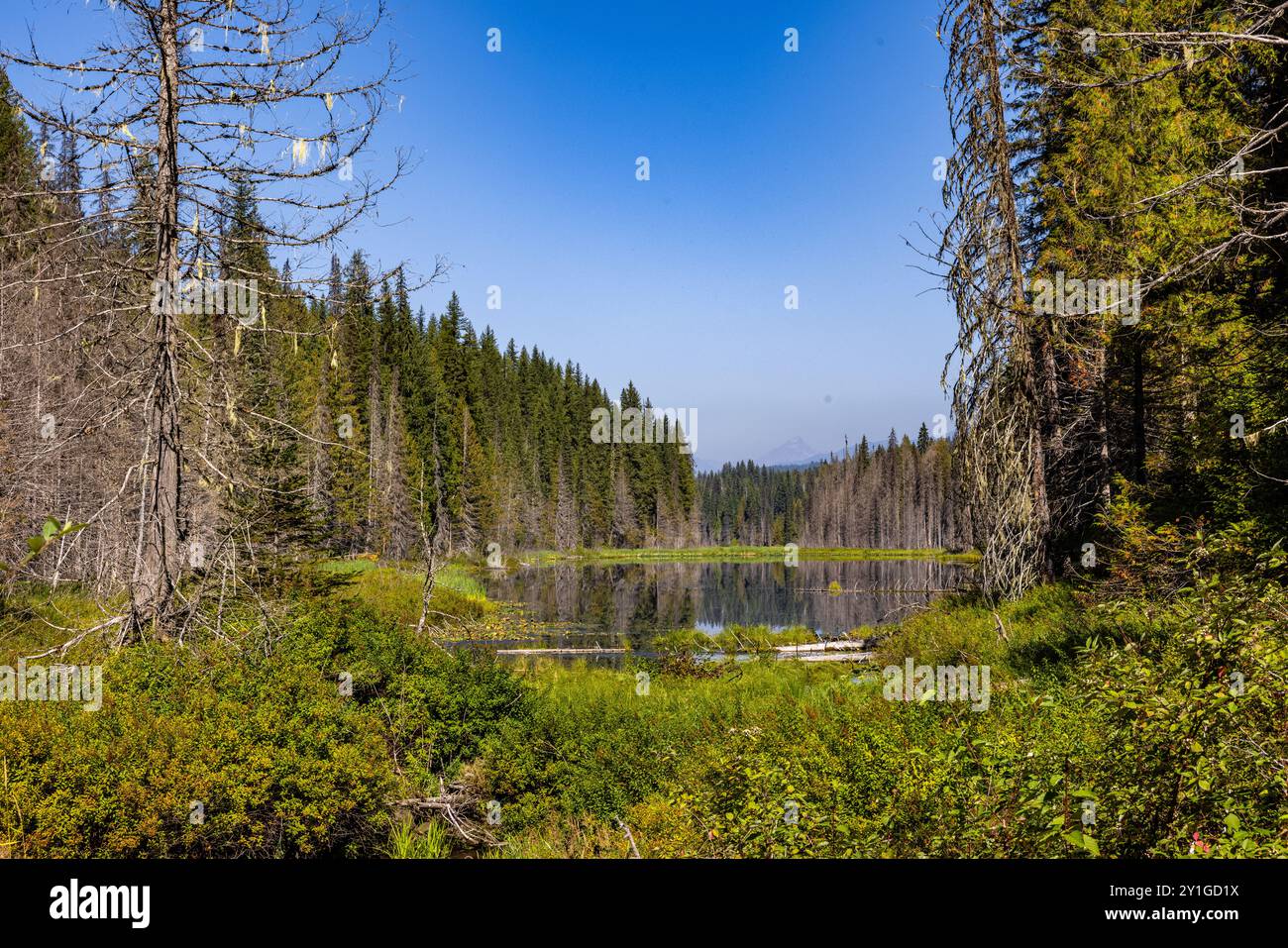 Clearwater, Canada. 05 September, 2024 Pictured: Shadow Lake on the ...