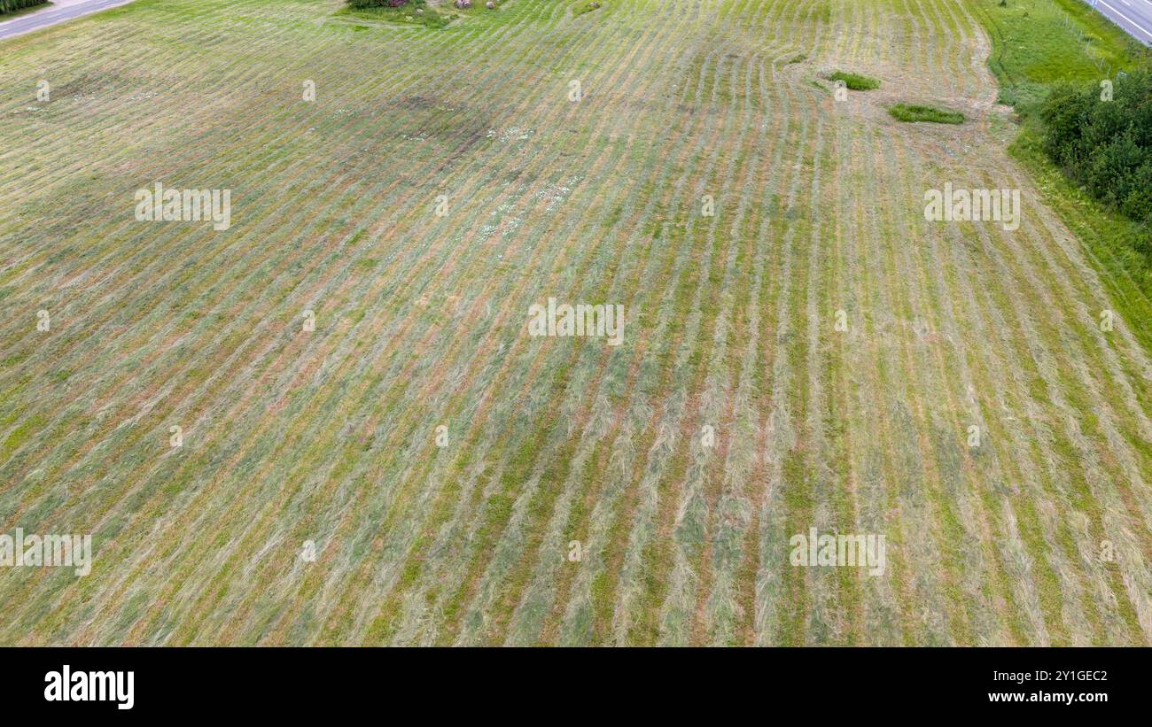 Aerial view of a freshly mowed grassy field with distinct striped ...