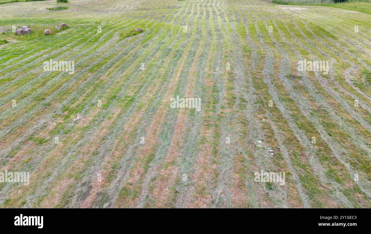 Aerial view of a freshly mowed grassy field with distinct striped ...