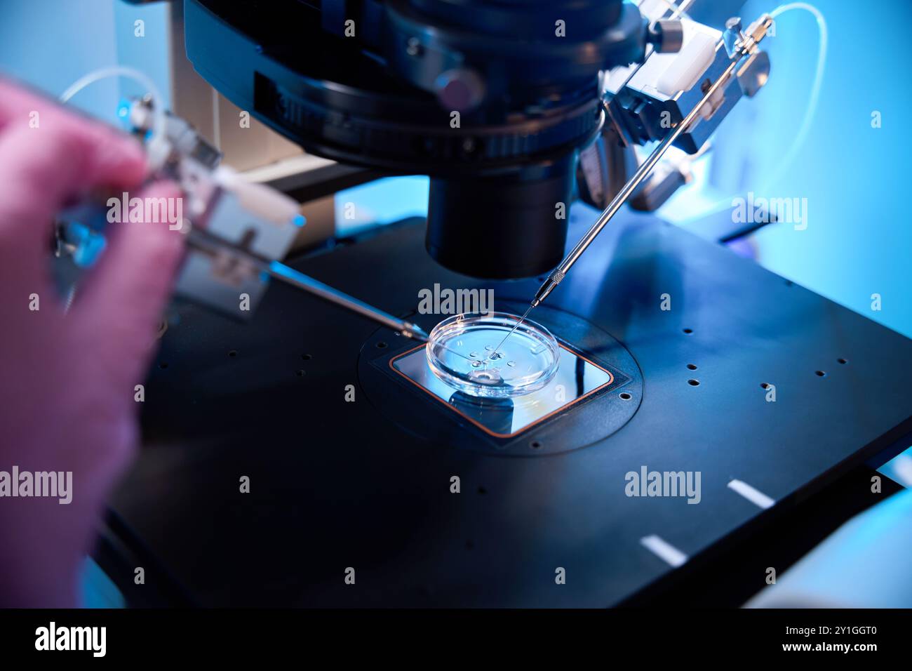 Gloved hand operating micromanipulator under a microscope in a lab ...