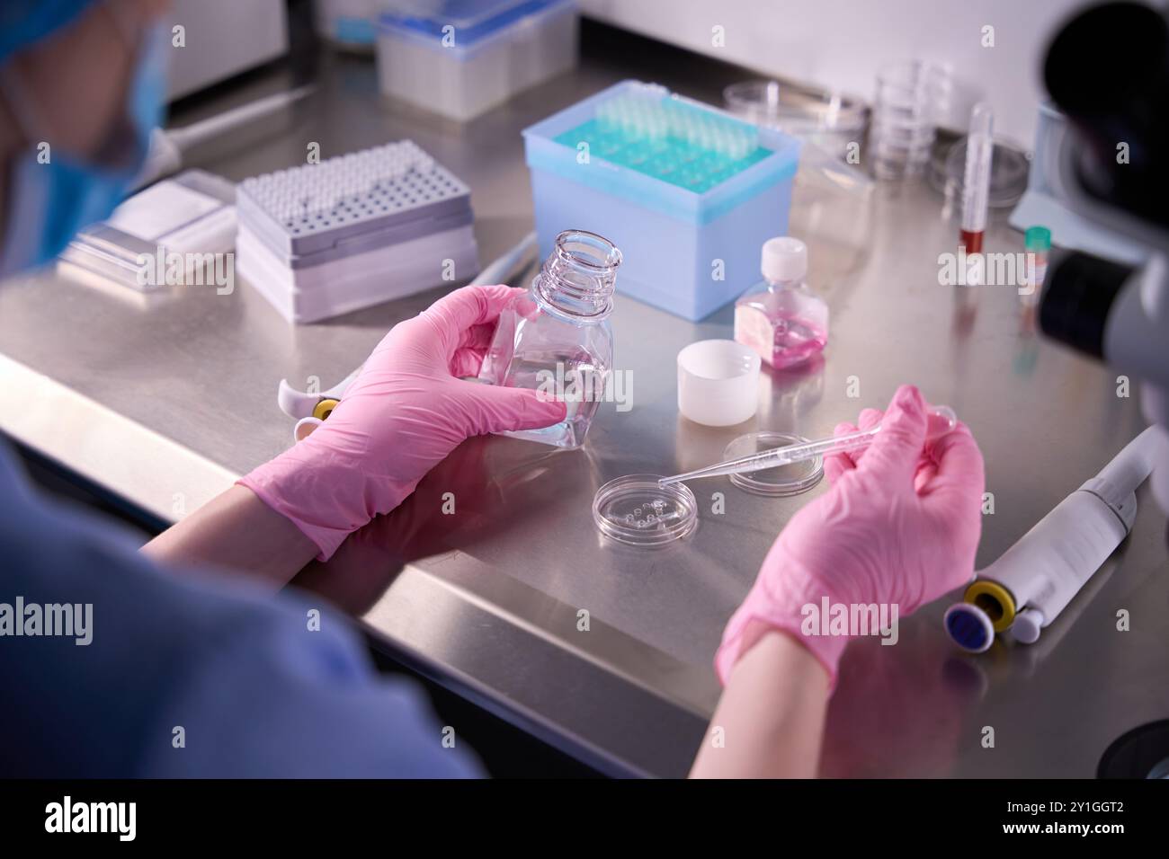 Gloved hands preparing a lab sample on a sterile workbench Stock Photo ...