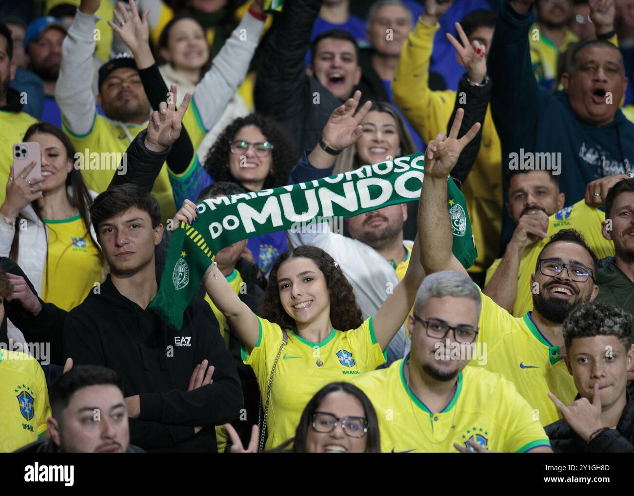 Brazil football fans in stands hi-res stock photography and images - Alamy