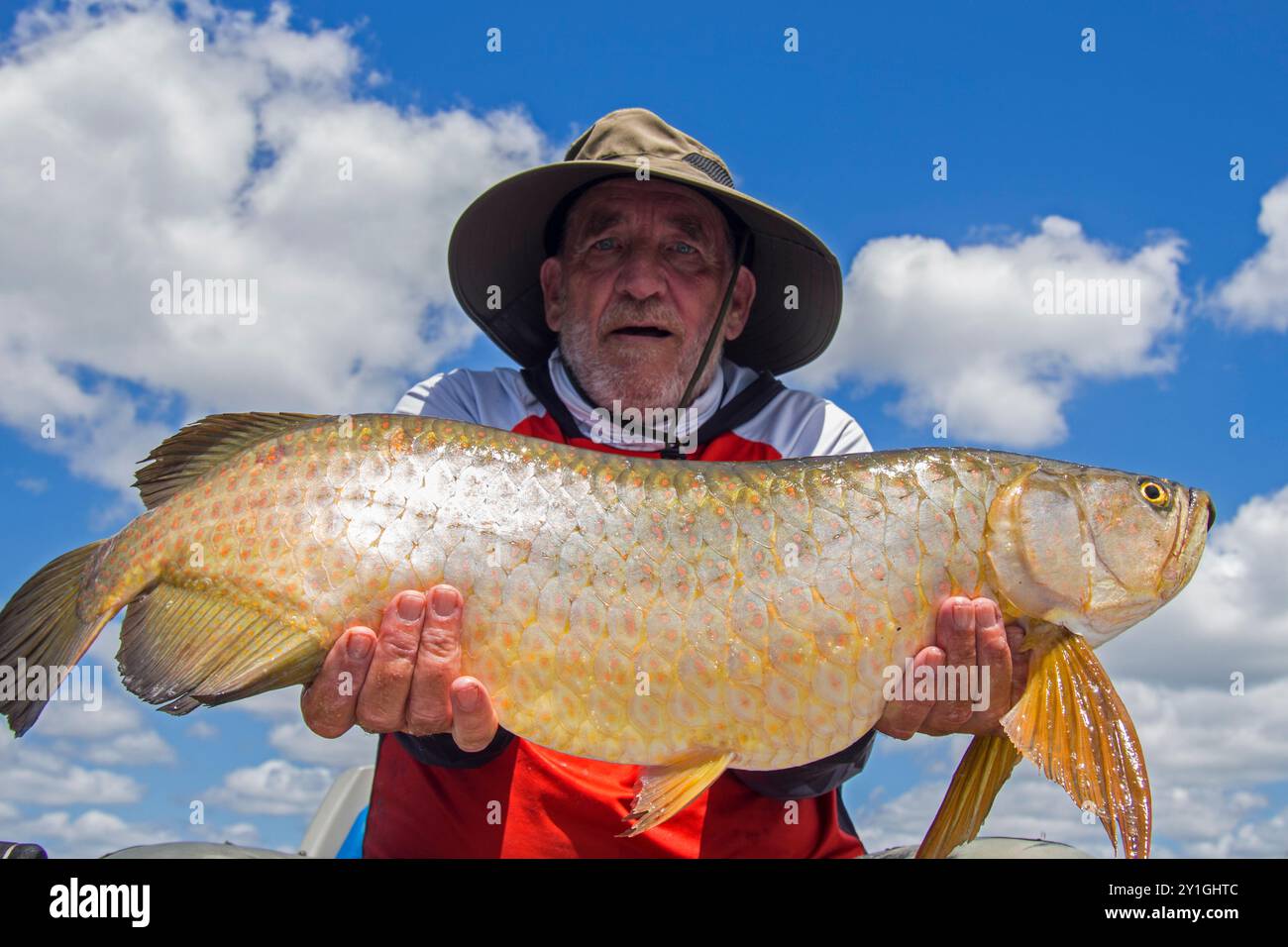 Fisherman holding large saratoga fish Stock Photo - Alamy