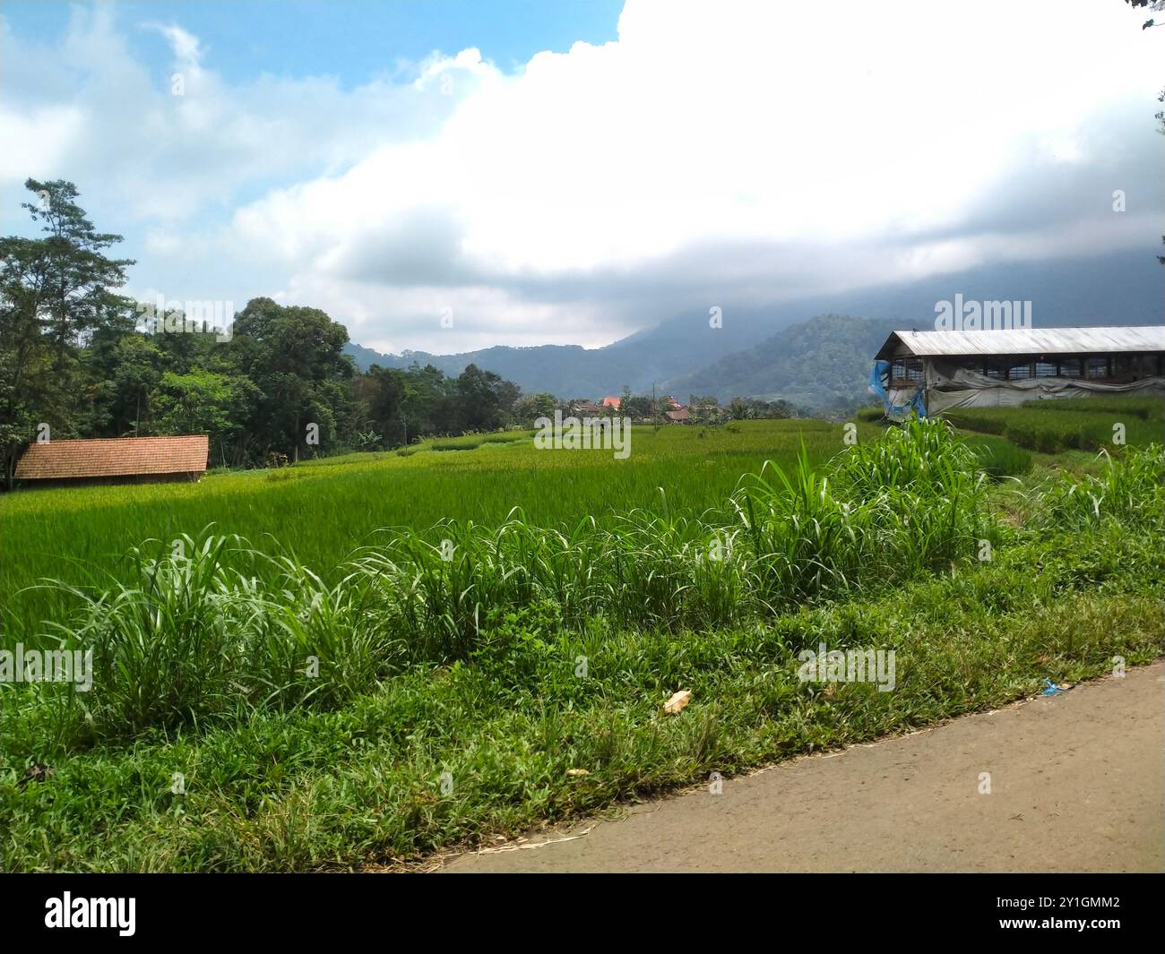 landscape of a village road with a bright view Stock Photo - Alamy