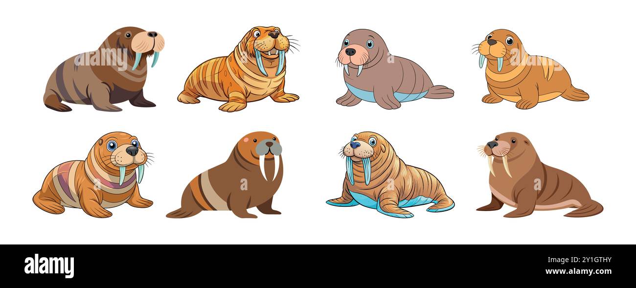 Cute Cartoon Walruses Isolated on a White Background. Concept of Marine ...