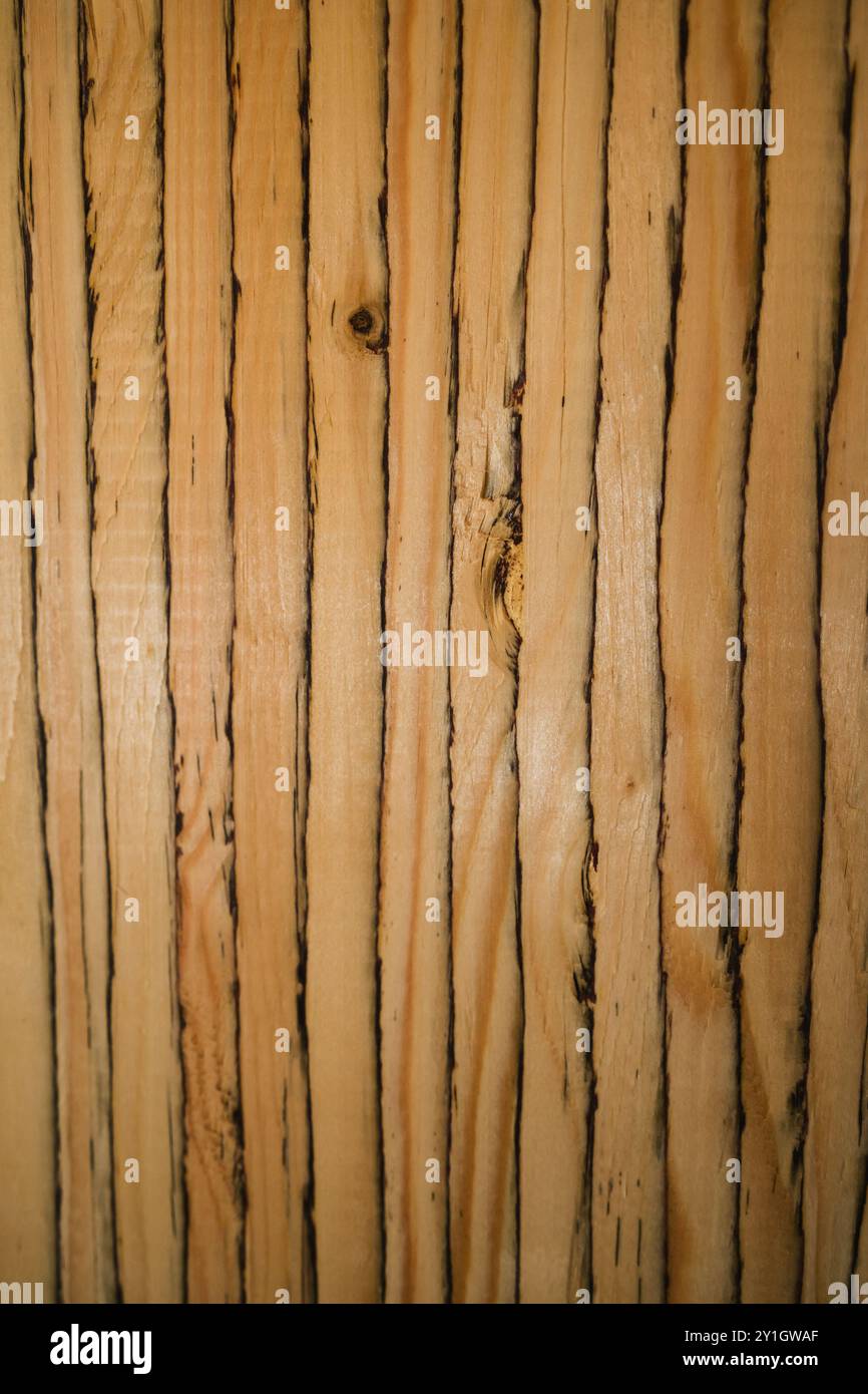 Cross laminated timber architecture hi-res stock photography and images ...