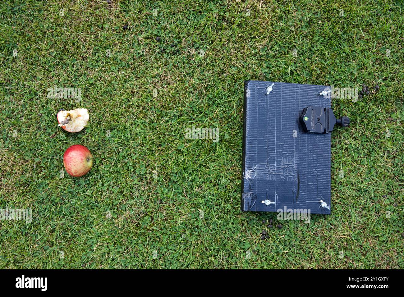 Set Up For Rabbit Photography; For Wide Angle; UK Stock Photo - Alamy