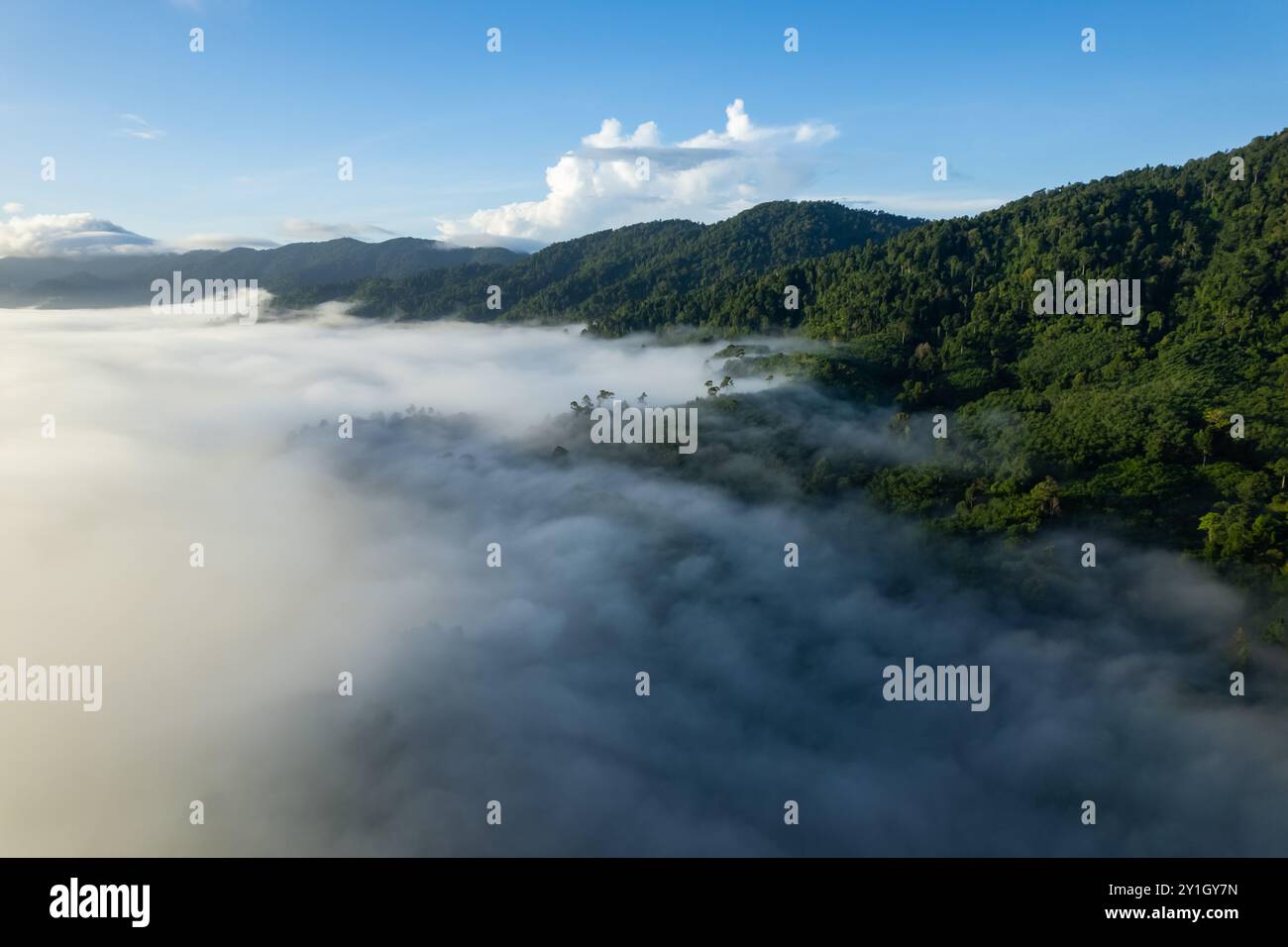 Aerial view drone shot of flowing fog waves on mountain tropical ...