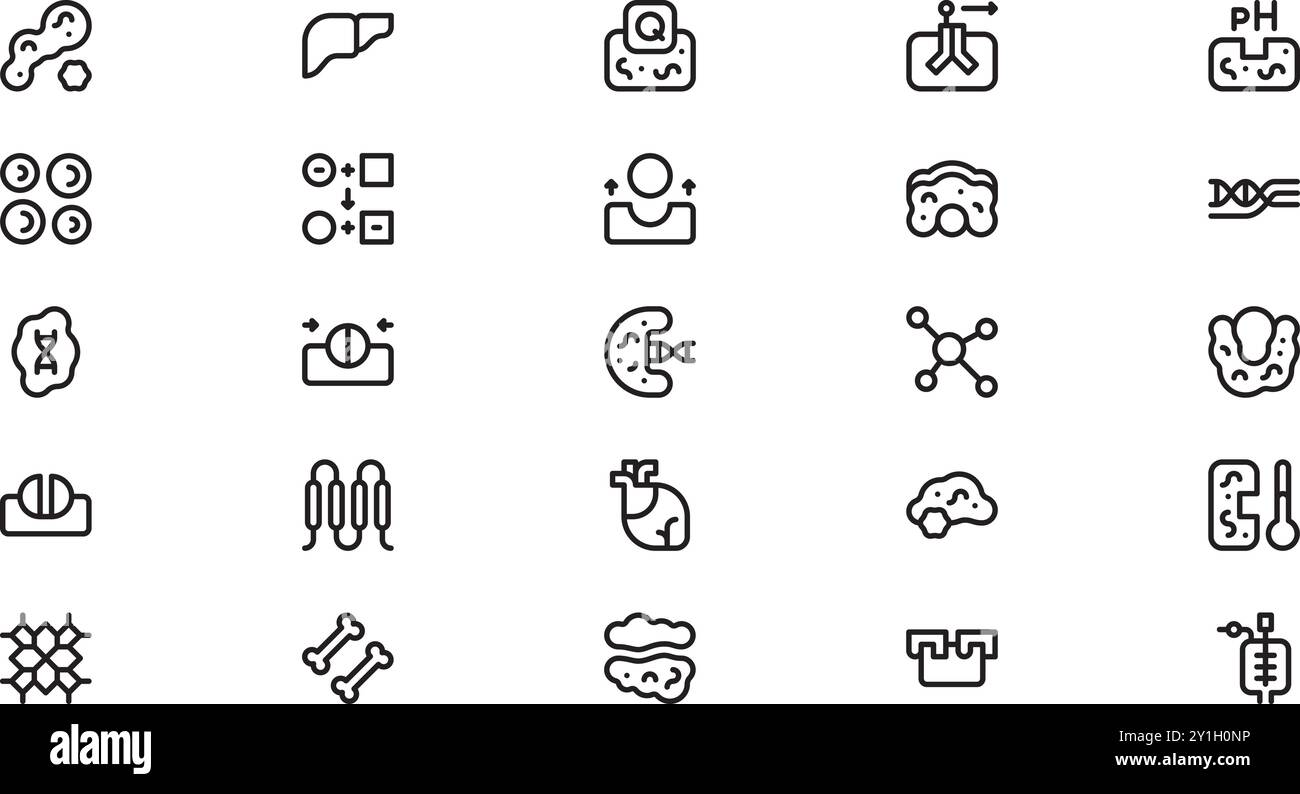 Enzymes icons High-Quality Vector Icons Collection with Editable Stroke ...
