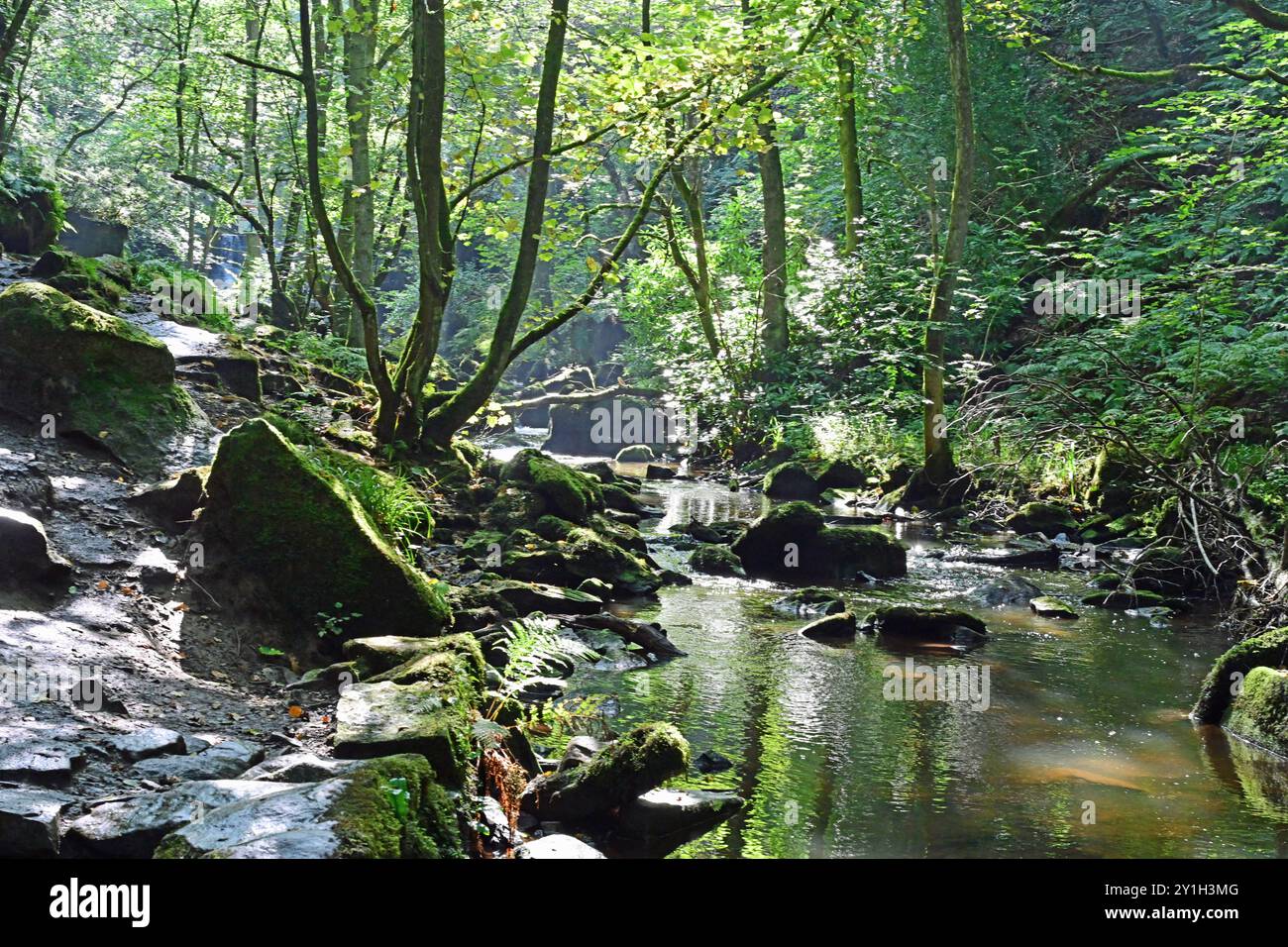 Harden beck on the path to Goit stock waterfall, Harden, West Yorkshire ...